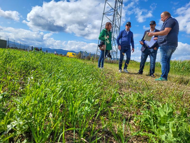 Les Cipan, un « atout » pour les grandes cultures | PHR - Paysan du ...